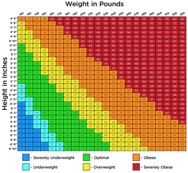 BMI CALCULATOR - Fatgirlskinny.net | Slimming Recipes, Healthy Eating ... BMI CALCULATOR - Fatgirlskinny.net | Slimming Recipes, Healthy Eating ...