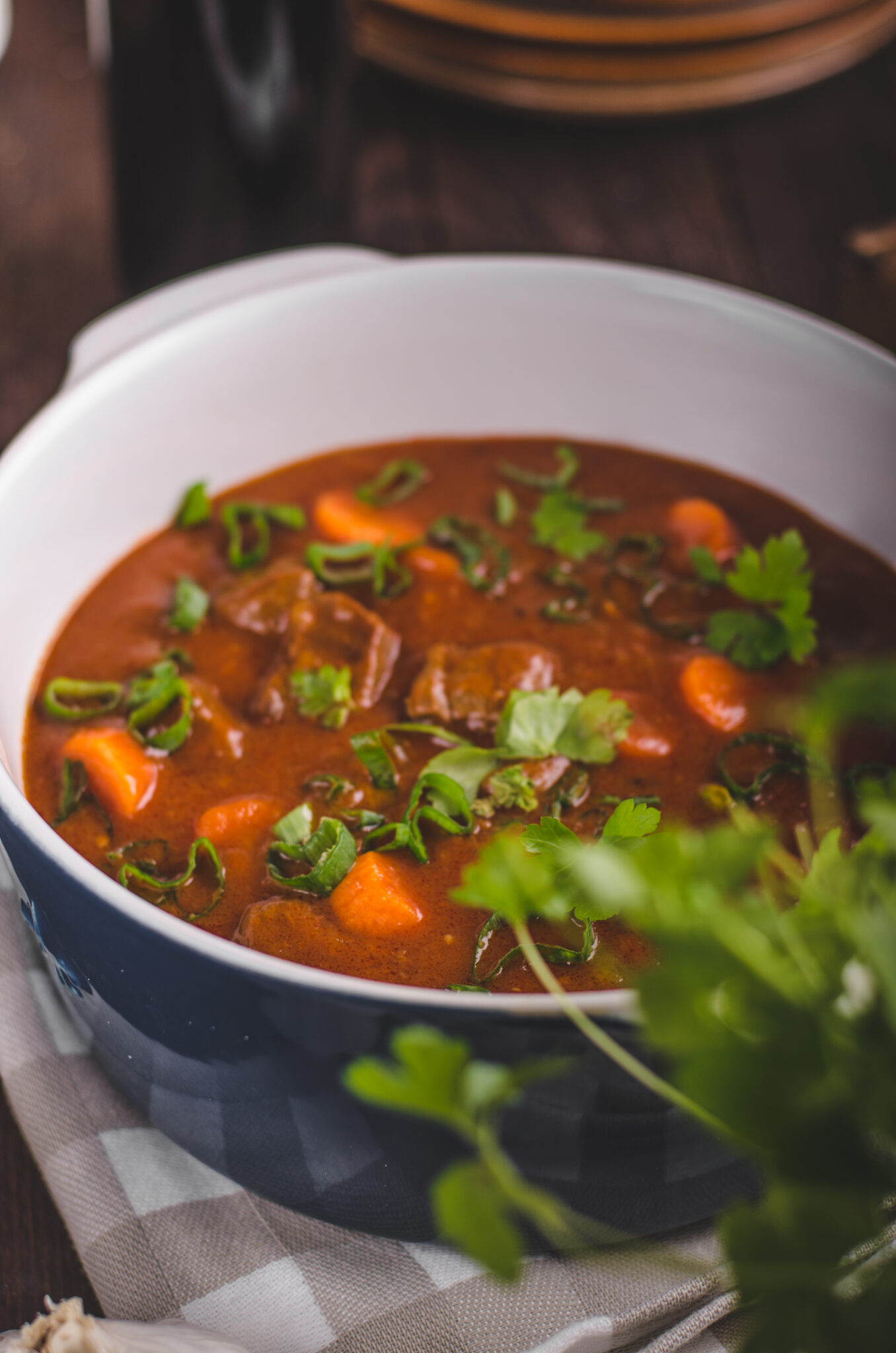Best Ever Beef Stew | Slimming World Friendly Recipe - Fatgirlskinny ...