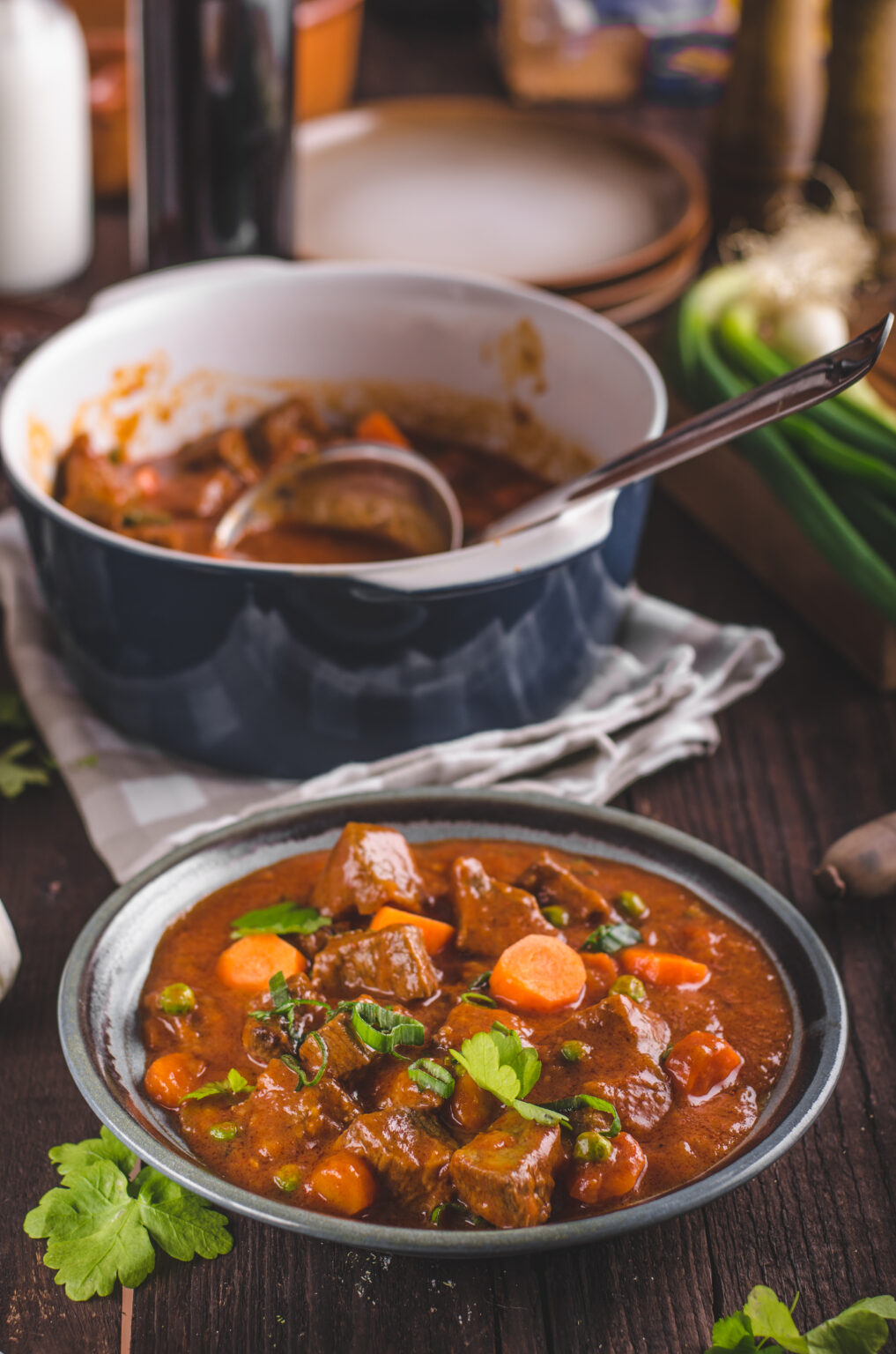 Best Ever Beef Stew | Slimming World Friendly Recipe - Fatgirlskinny ...